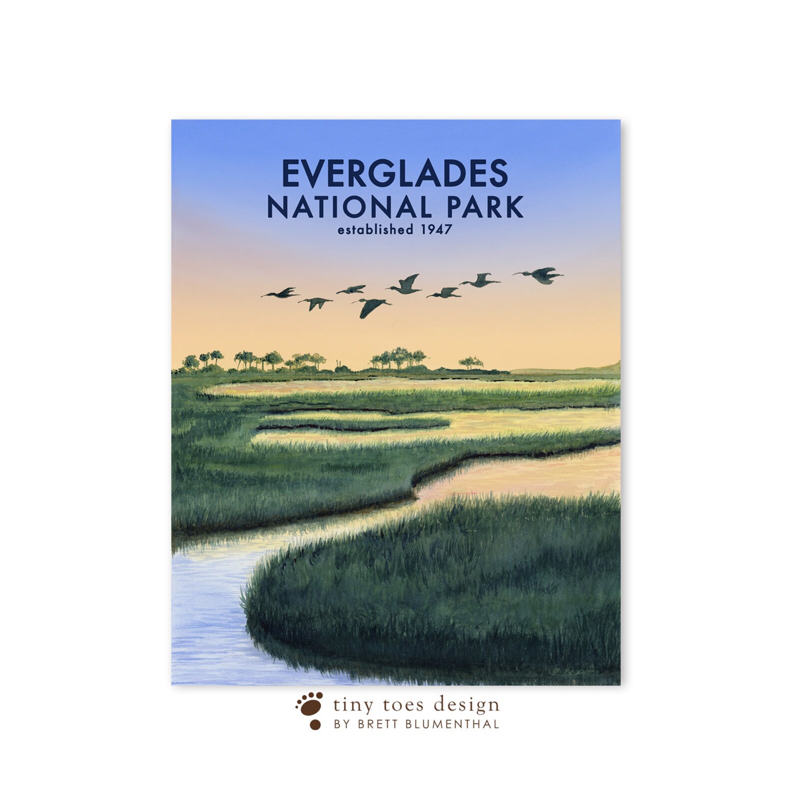 Everglades National Park Print, Florida National Park Poster, Travel ...