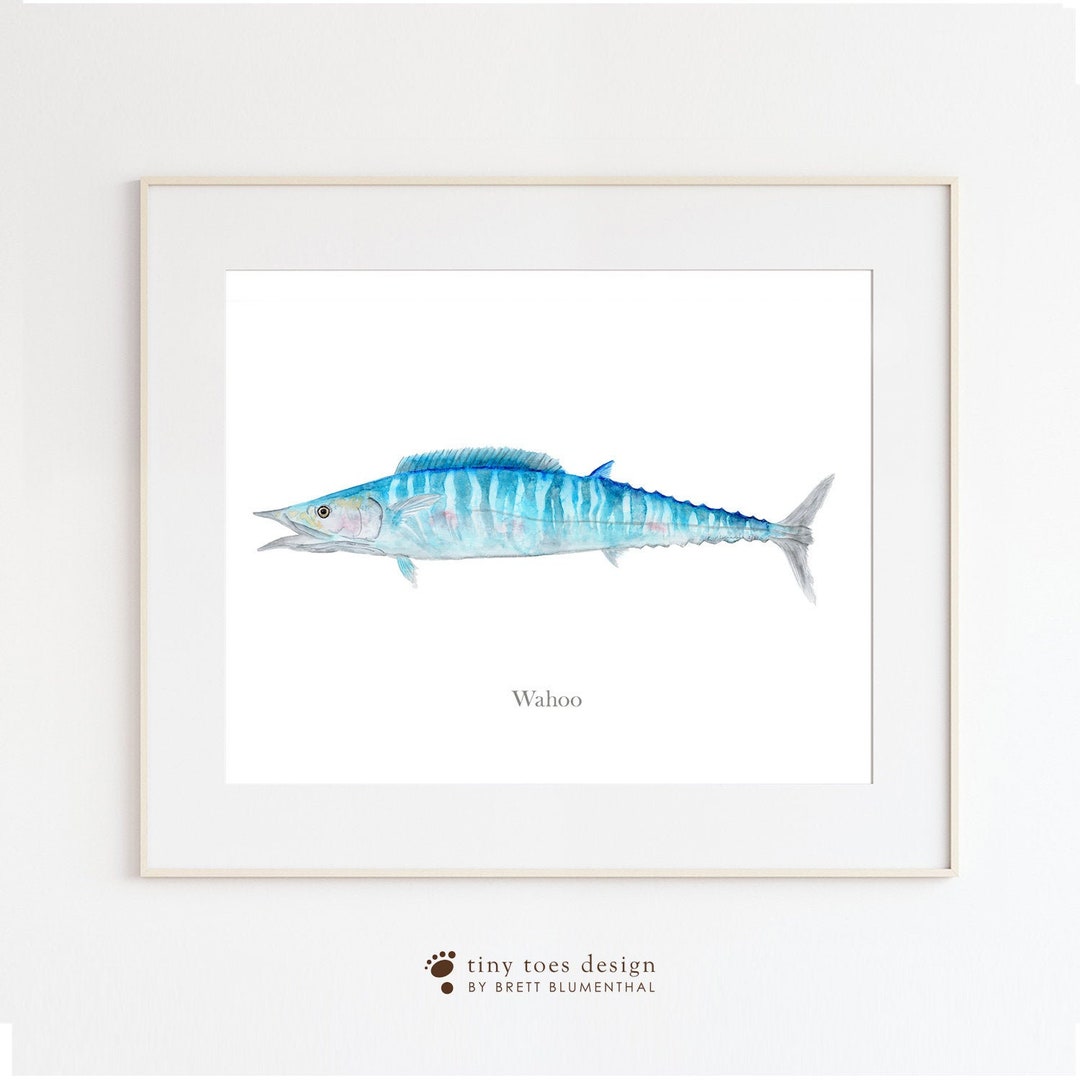 Blue Watercolor Fish Wahoo Fish Painting Wahoo Fish Mount - Etsy