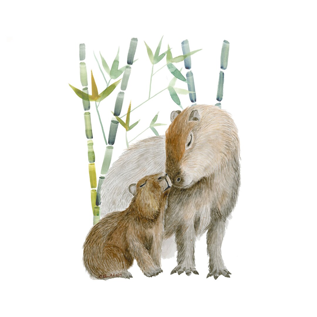 Capybara Print Rainforest Animal Art Jungle Nursery Art - Etsy