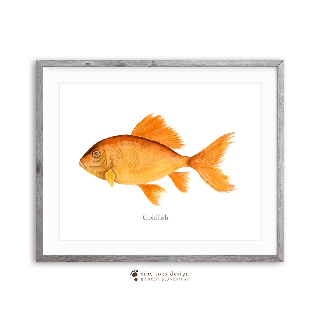 Goldfish Watercolor Fish Print Goldfish Art Print Fishing - Etsy