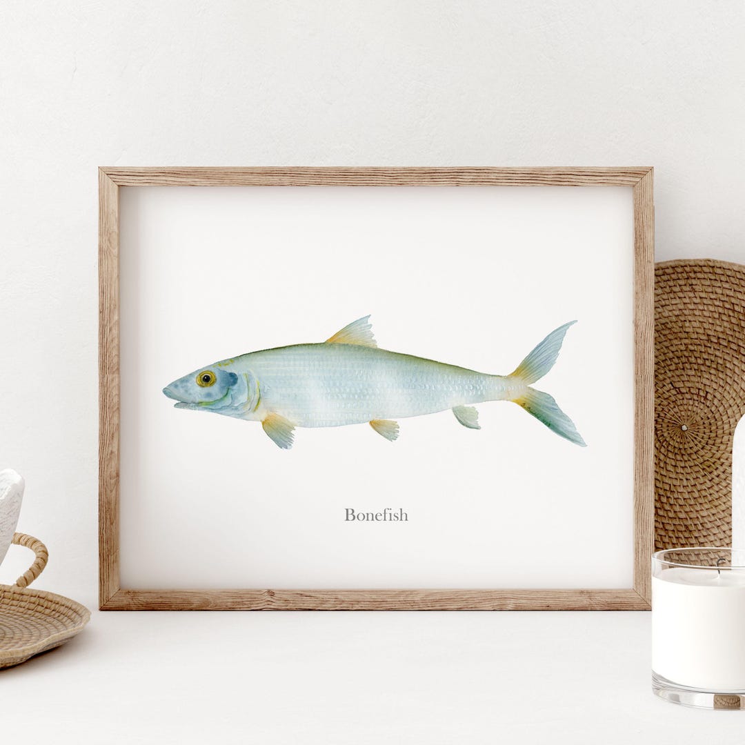 Bonefish Deep Sea Fishing Watercolor Art Print | Ocean Fisherman and ...