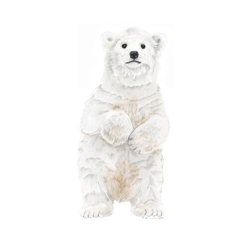 Baby Zoo Animal Prints Zoo Nursery Wall Art Neutral Baby - Etsy