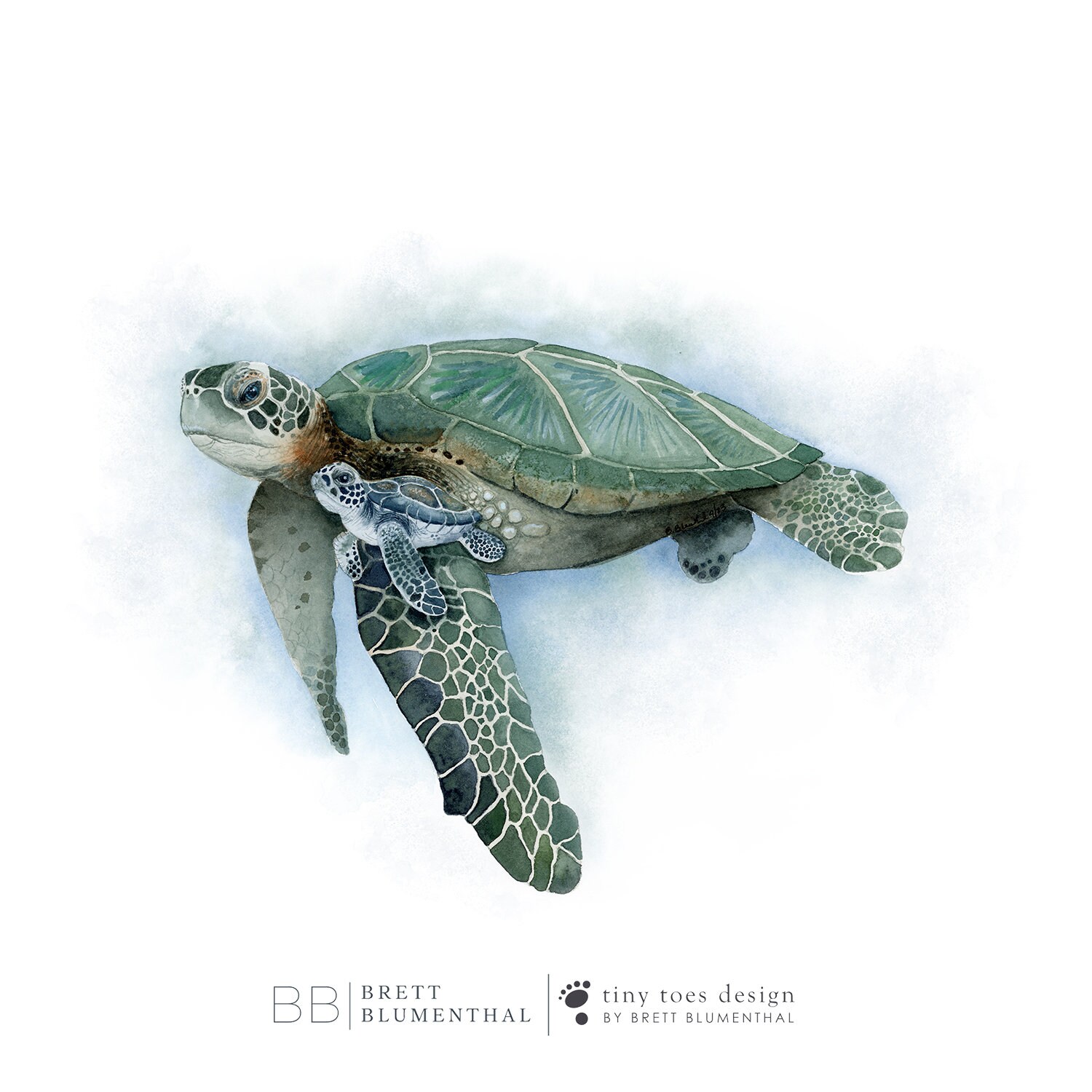 Sea Turtle Art, Mom and Baby Sea Life Print, Turtle Watercolor, Ocean ...