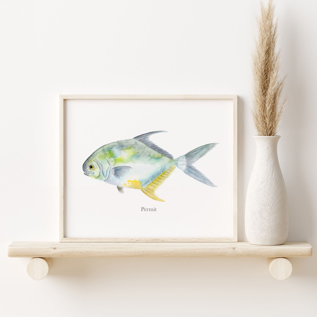 Watercolor Fish, Permit Fish Print, Permit Fishing Mount Art, Fishing ...
