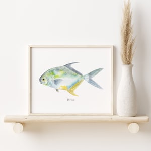 Watercolor Fish, Permit Fish Print, Permit Fishing Mount Art, Fishing ...