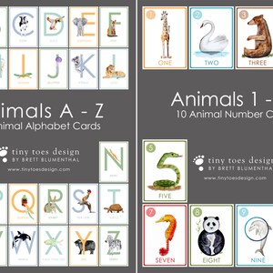 Alphabet and Numbers - Printable Flash Cards - ABC and 123 Wall Cards ...