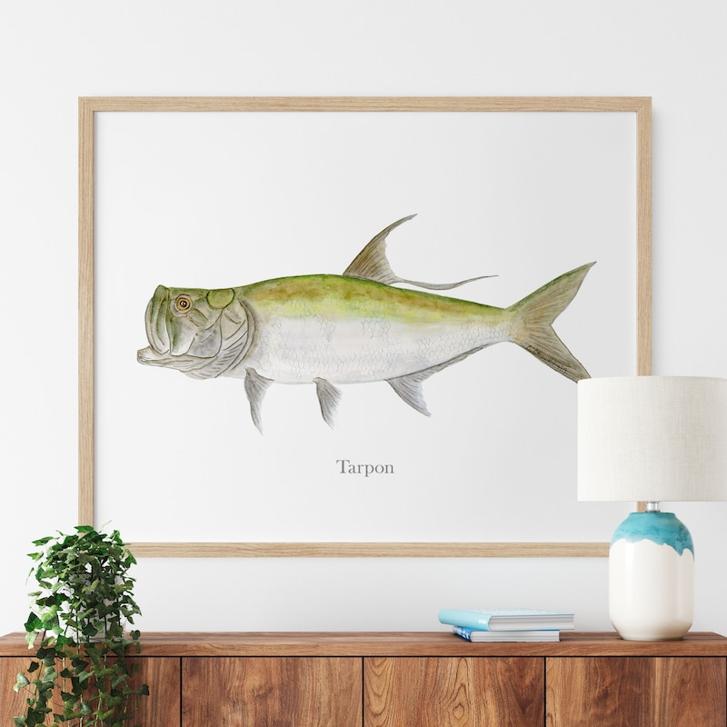 Tarpon Art - Etsy