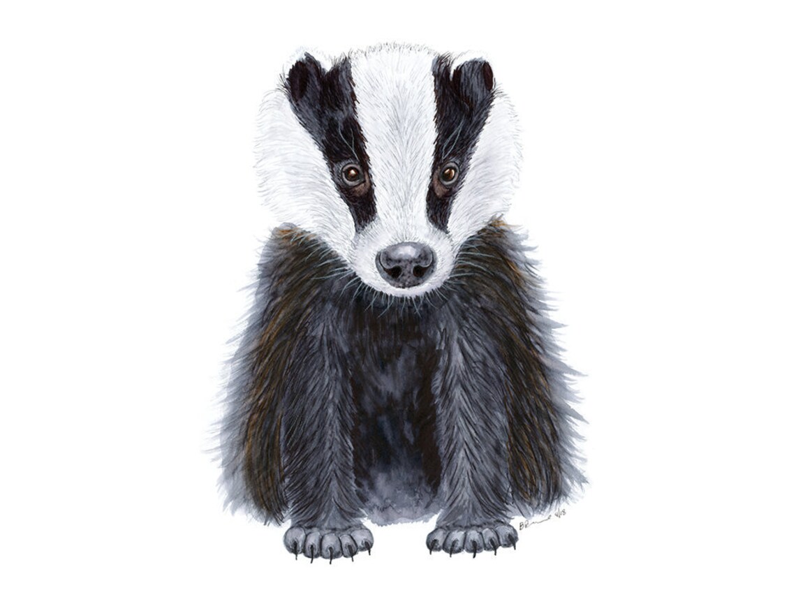 Badger Art Print Woodland Nursery Decor Baby Animal - Etsy