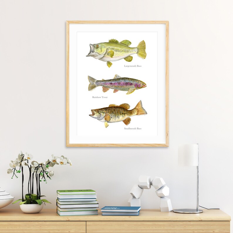 Fly Fishing Print, Fish Wall Decor, Man Cave Decor, Bass Fish Art ...