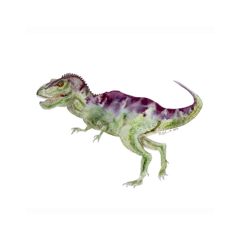 Dinosaur Prints Dinosaur Wall Art Kids Dinosaur Print Set of - Etsy