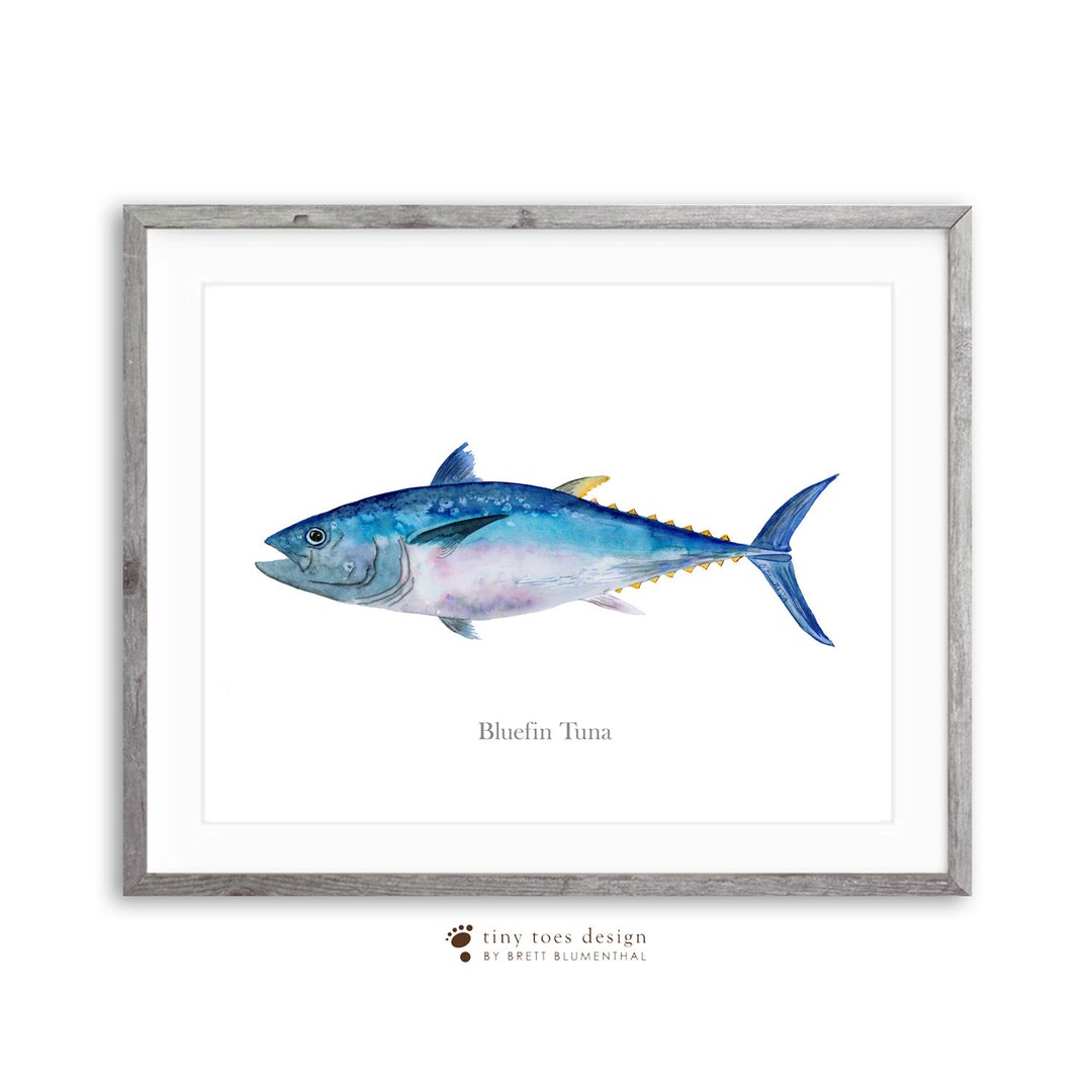 Tuna Print Bluefin Tuna Watercolor Print Nautical Print - Etsy