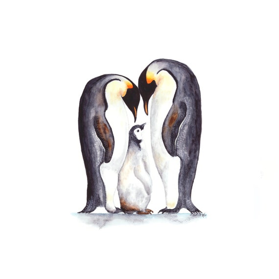 Emperor Penguin Pictures To Print
