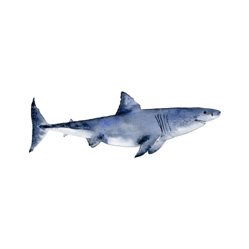 Shark Nursery Decor Great White Shark Bathroom Decor Shark Etsy shark-nursery-decor-great-white-shark-bathroom-decor-shark-etsy