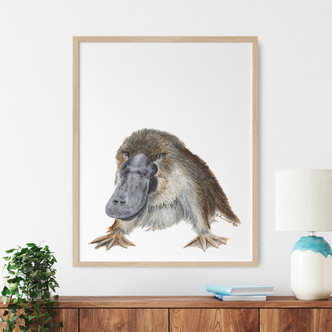 Australian Nursery Art - Baby Platypus Print - Aussie Animal Print ...