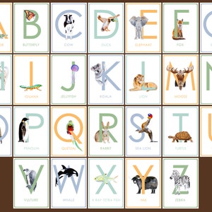 Alphabet and Numbers - Printable Flash Cards - ABC and 123 Wall Cards ...