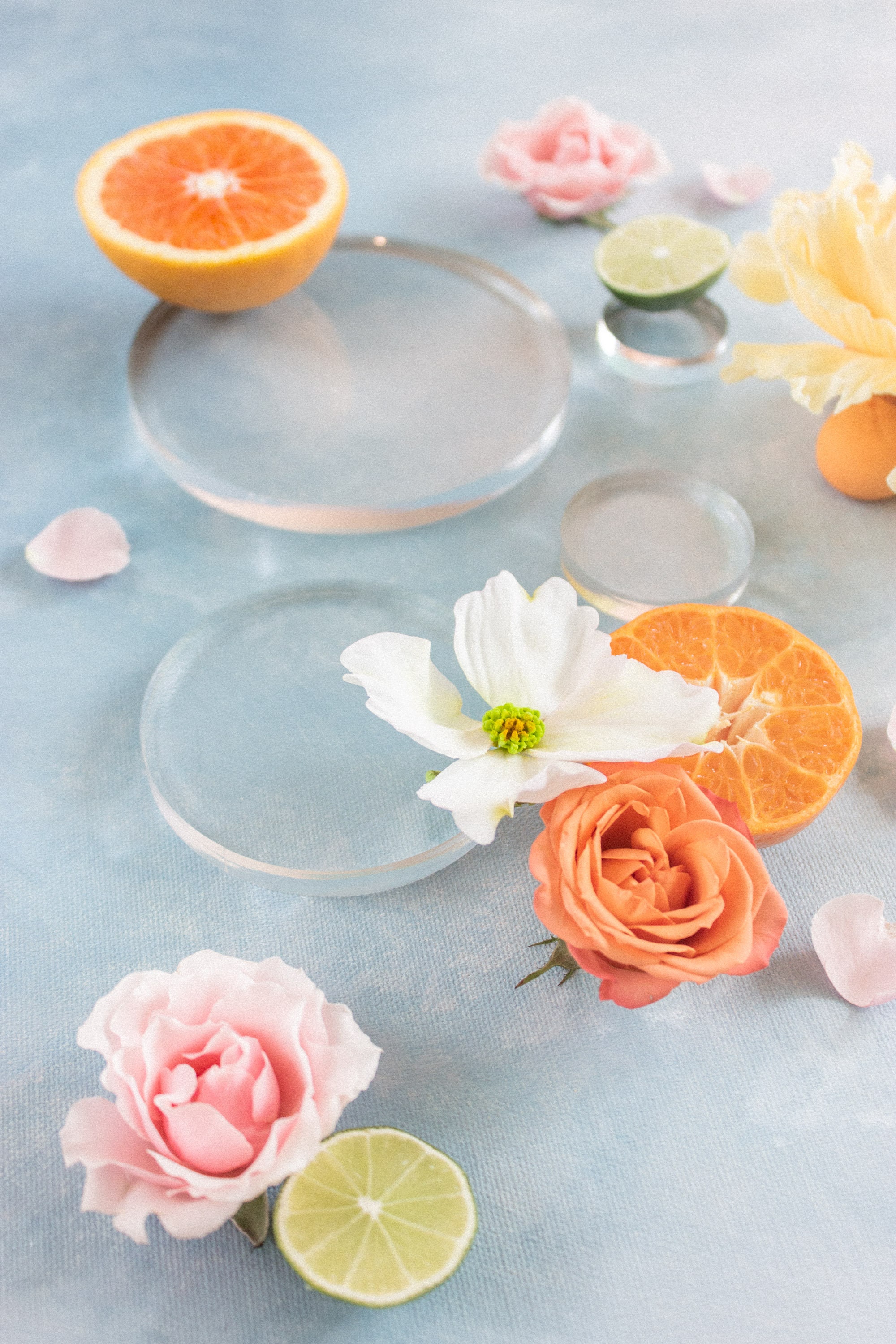 Round Acrylic Risers - Flat Lay Kit - Photography Prop - Etsy
