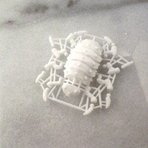 Articulated Predominant Isopod BJD Kit 3D STL Files With & Without ...