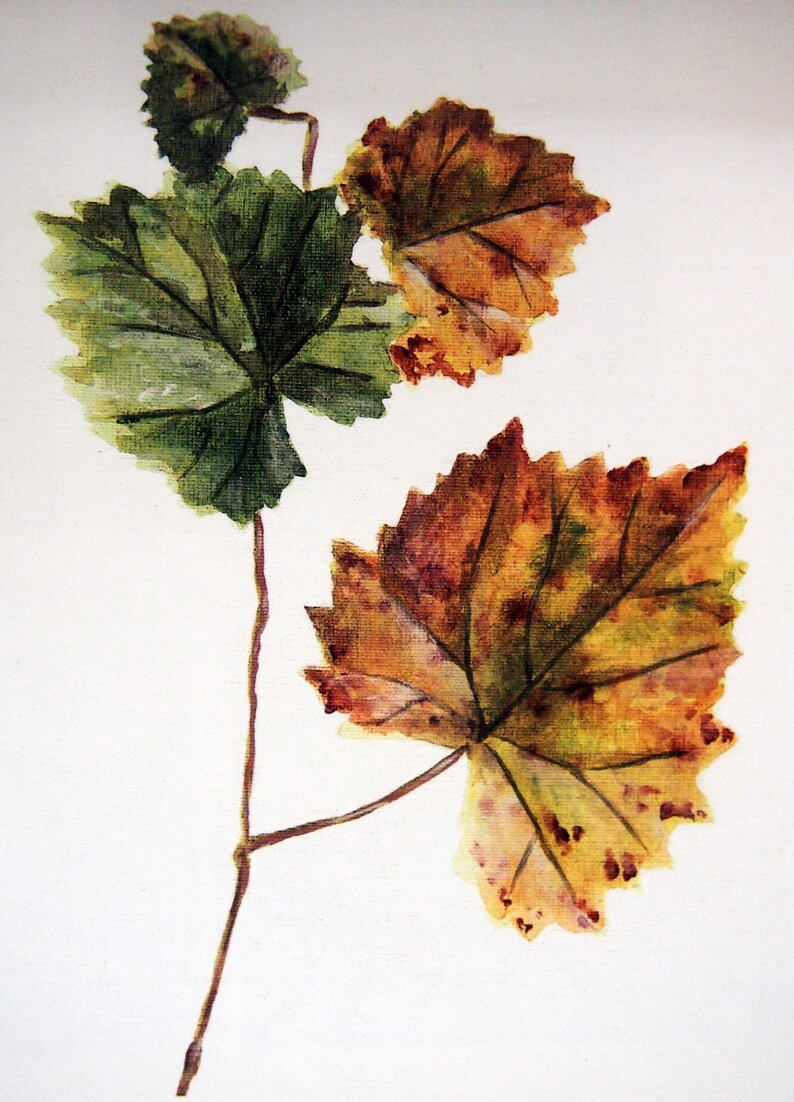 Trees & Foliage Painter's Quick Reference by the Editors - Etsy