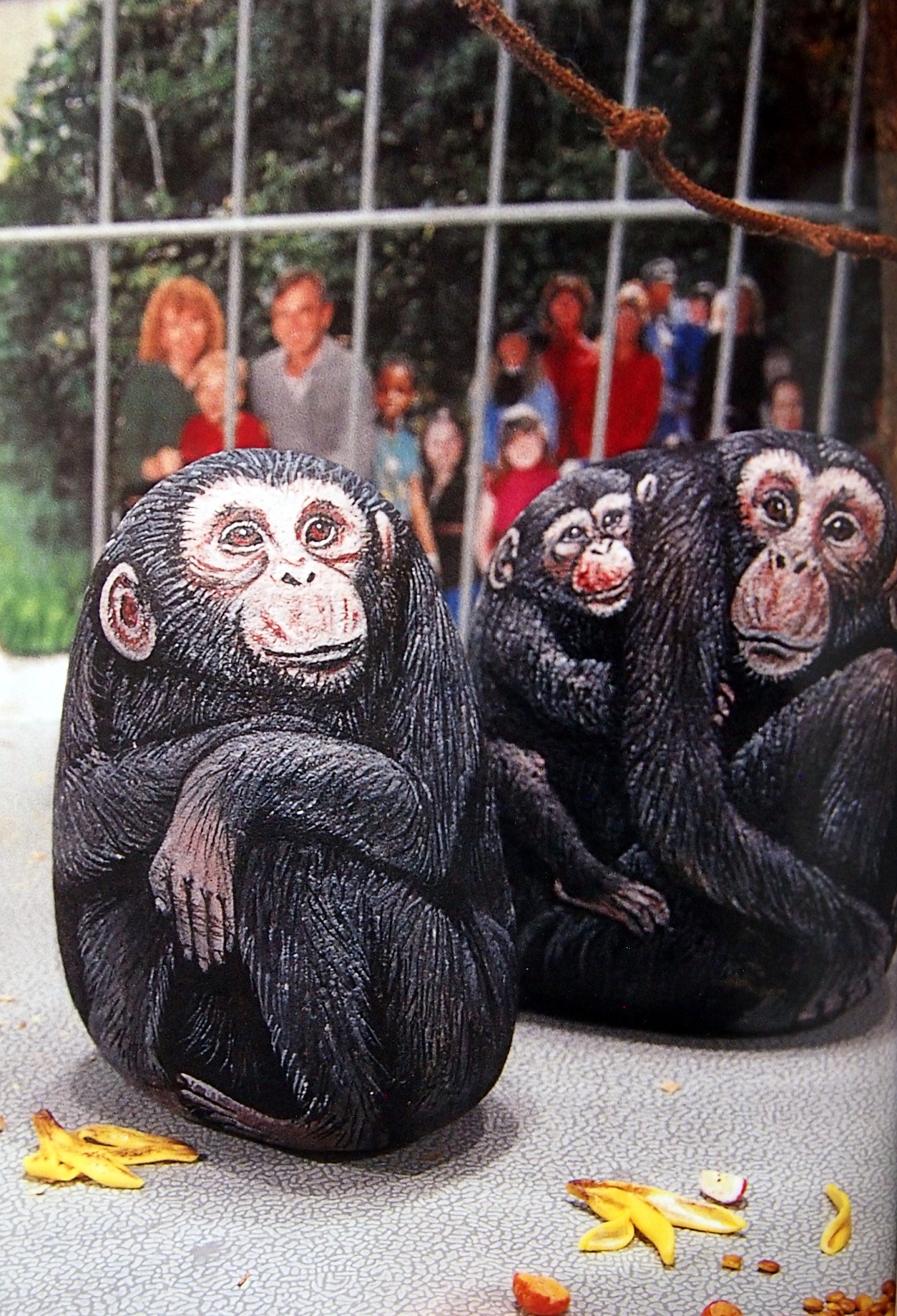 Painting Zoo Animals on Rocks by Lin Wellford Paperback Decorative ...