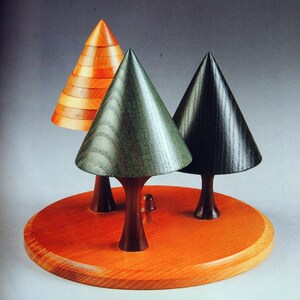 Woodturning Trickery 12 Ingenious Projects by David Springett Paperback ...