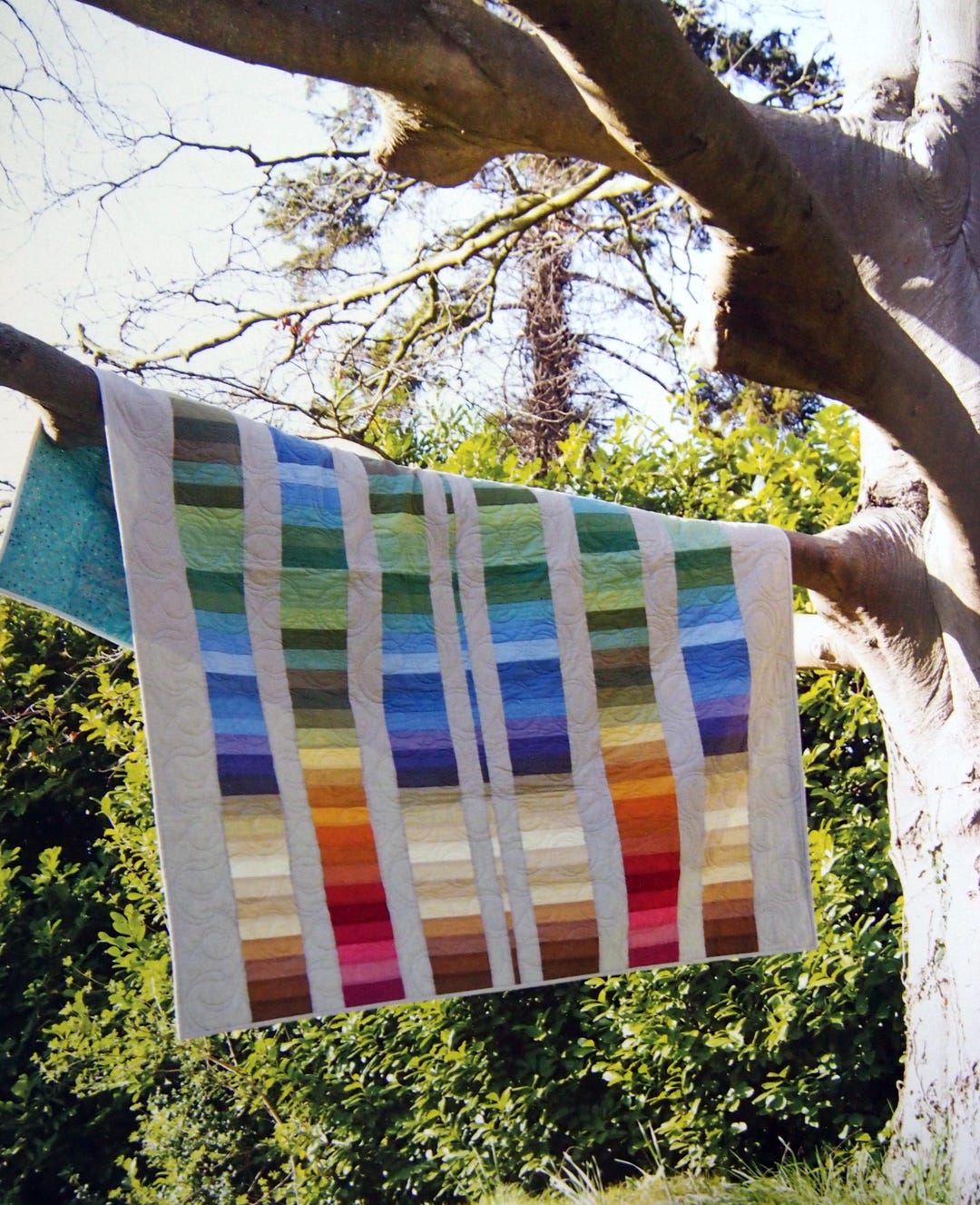 Modern Designs for Classic Quilts by Kelly Biscopink and Andrea Johnson ...