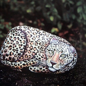 Painting More Animals on Rocks by Lin Wellford Vintage Paperback ...