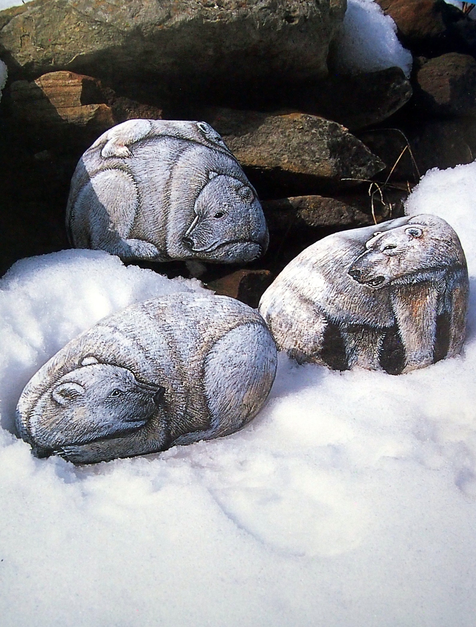 Painting Zoo Animals on Rocks by Lin Wellford Paperback Decorative ...