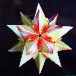 Exquisite Modular Origami by Meenakshi Mukerji Paperback Origami Pattern Book 2011 - Etsy