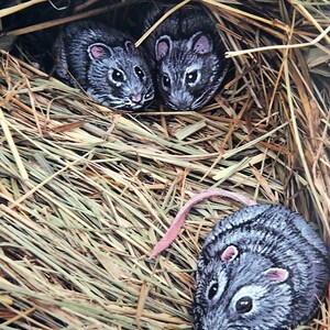 Painting More Animals on Rocks by Lin Wellford Vintage Paperback ...