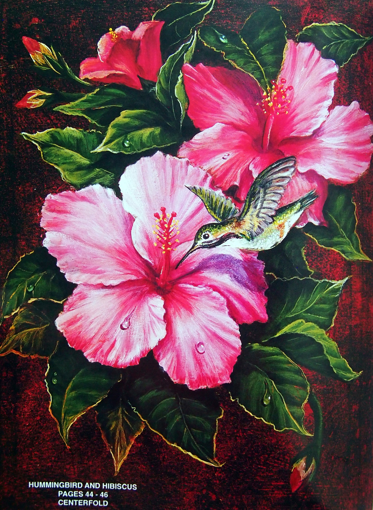 Bitterroot Backroads 5 - Painting Birds by Glenice Moore Vintage ...