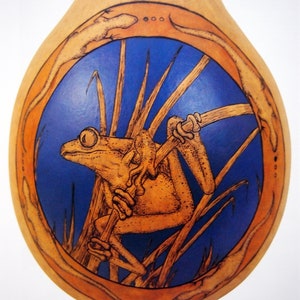 Gourd Pyrography by Jim Widess Vintage Hardcover Gourd Pyrography ...