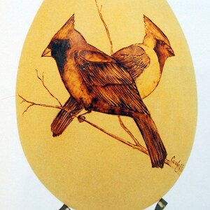 Gourd Pyrography by Jim Widess Vintage Hardcover Gourd Pyrography ...