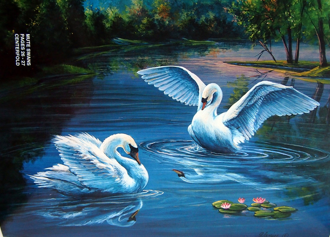 Bitterroot Backroads 5 - Painting Birds by Glenice Moore Vintage ...