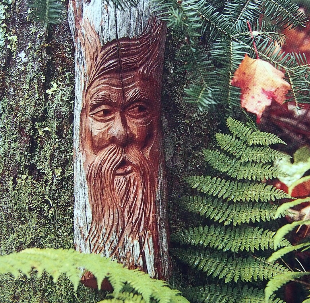Woodcarving With Rick Butz by Rick and Ellen Butz Vintage Paperback ...
