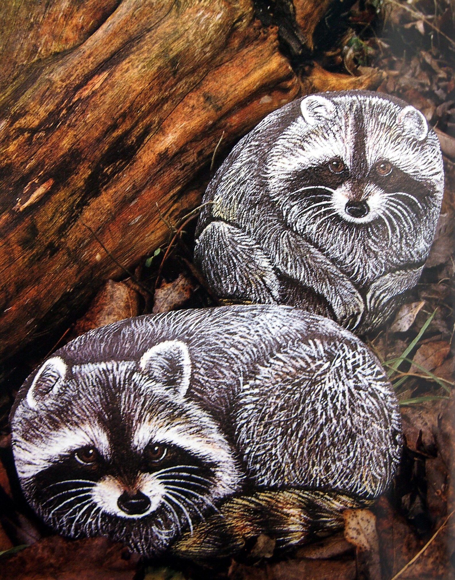 The Art of Painting Animals on Rocks by Lin Wellford Vintage Paperback ...