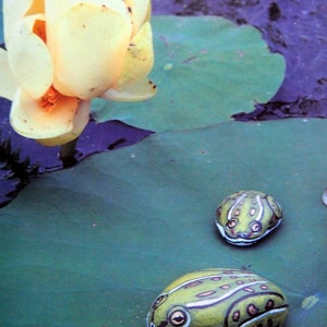 Painting More Animals on Rocks by Lin Wellford Vintage Paperback ...