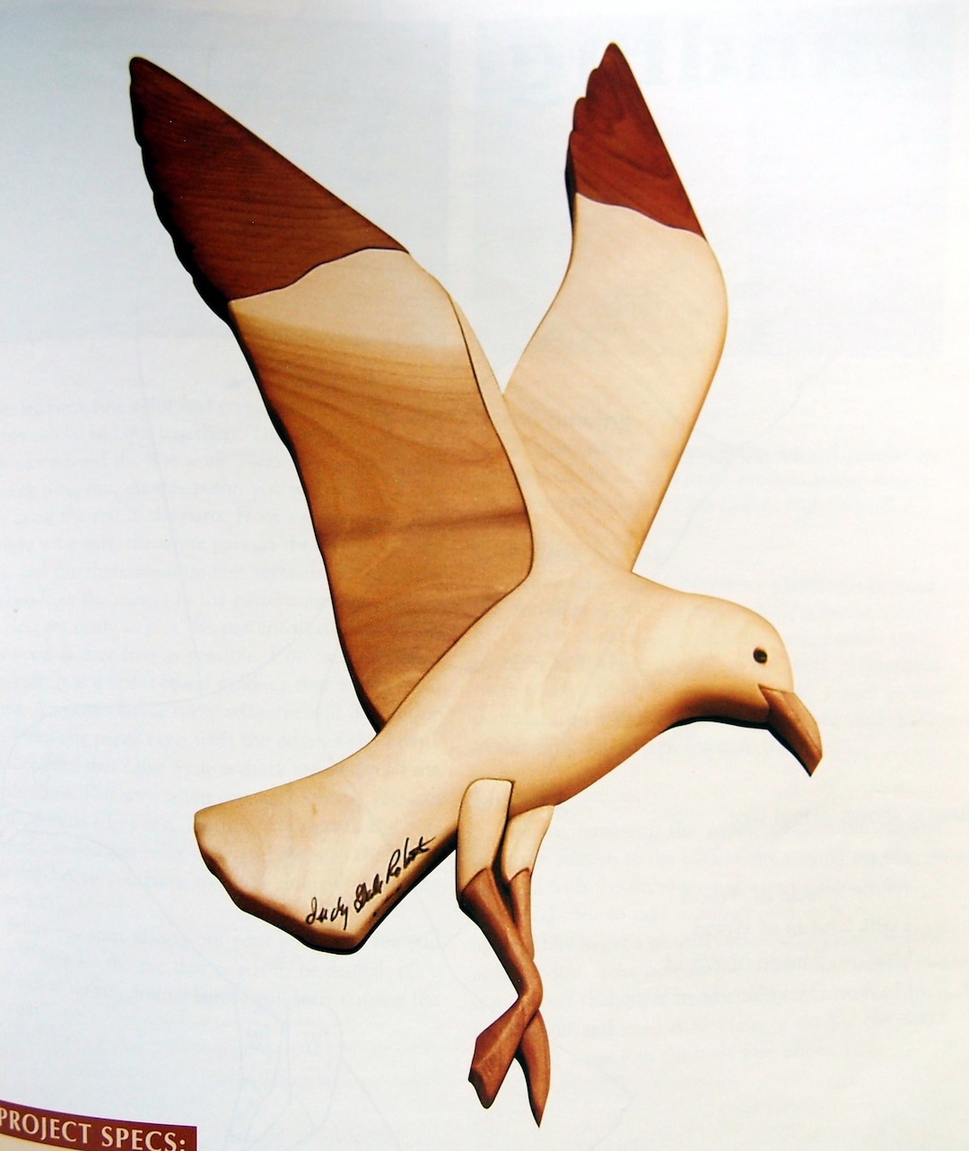 Intarsia Workbook by Judy Gale Roberts and Jerry Booher Paperback ...