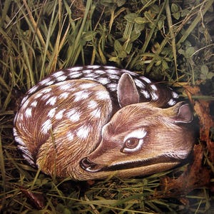 The Art of Painting Animals on Rocks by Lin Wellford Vintage Paperback ...