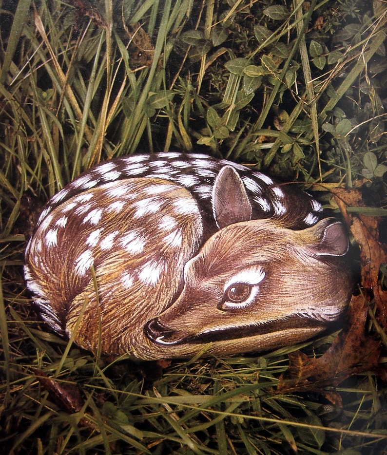 The Art of Painting Animals on Rocks by Lin Wellford Vintage Paperback ...