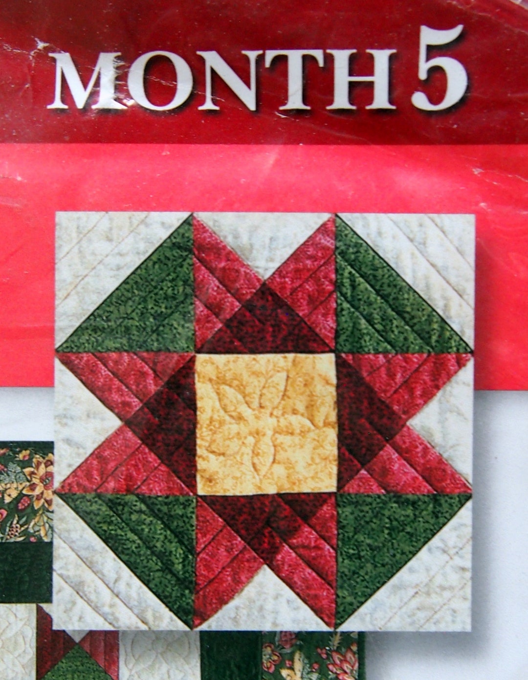 Swamp Angel - Month 5 - Legacy Star for Joann Fabric and Craft Vintage ...