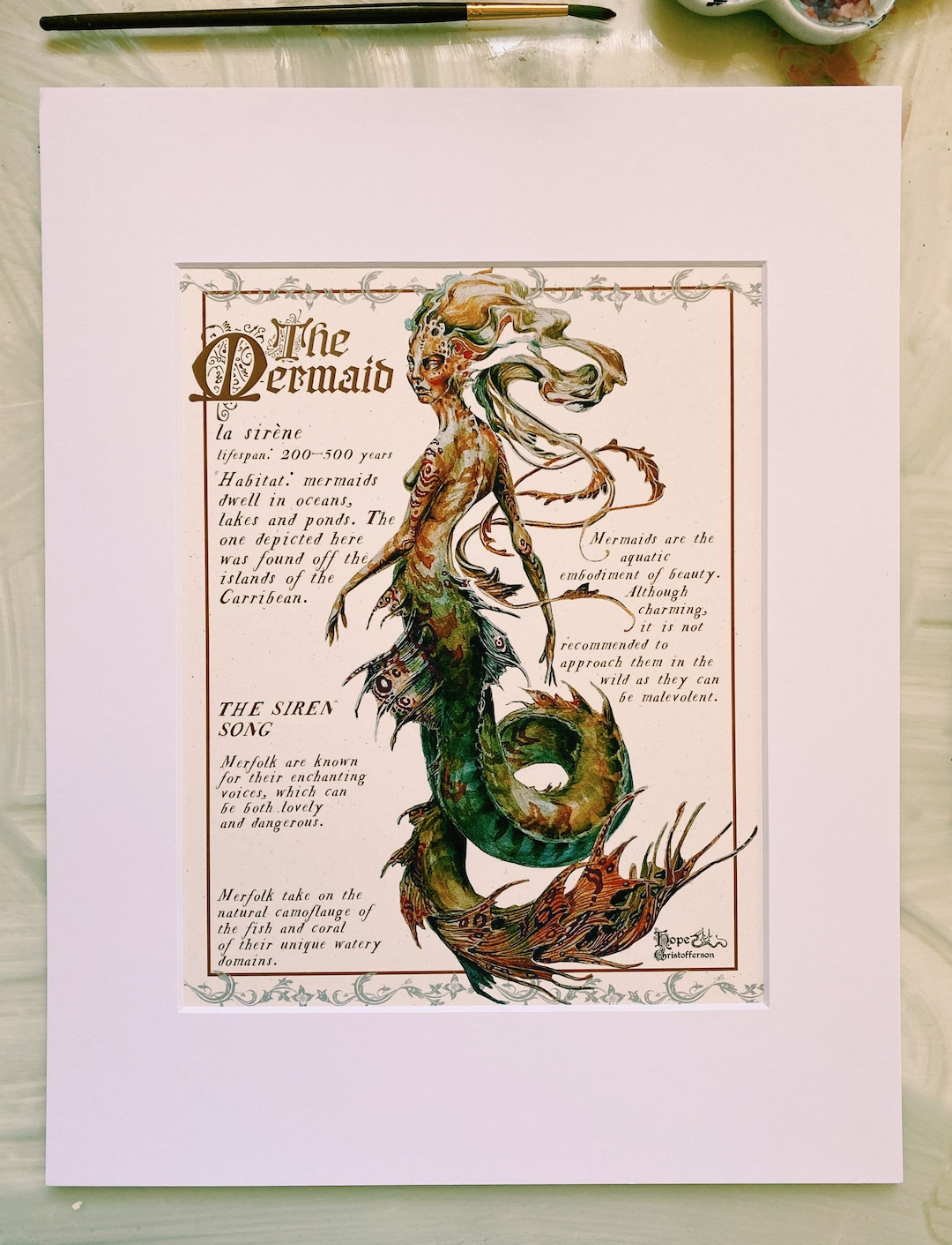 Mermaid Field Note - Etsy