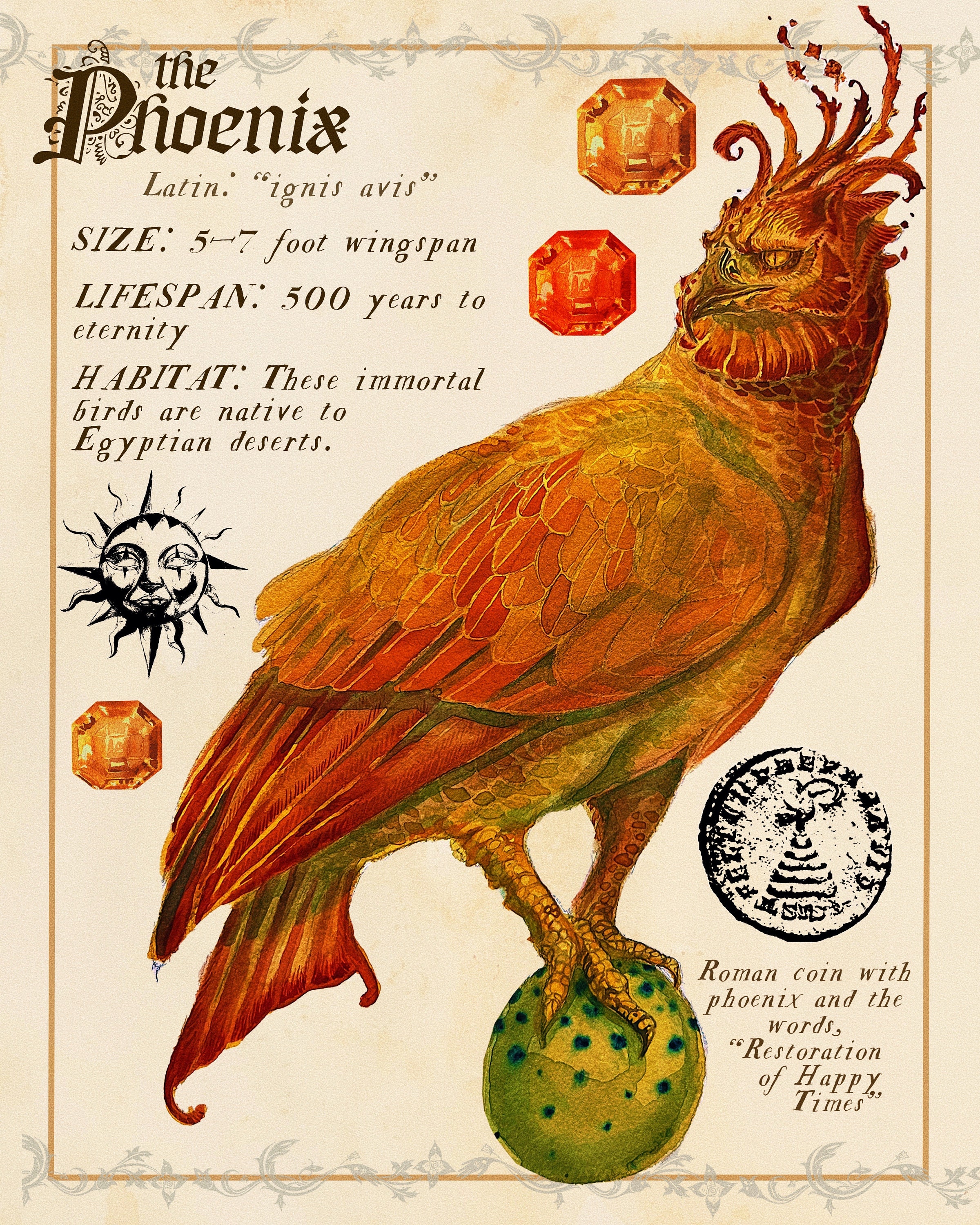 Phoenix Field Note - Etsy