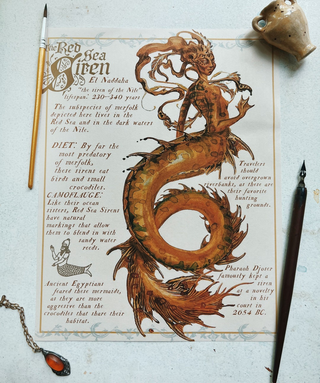 Red Sea Siren Field Note - Etsy