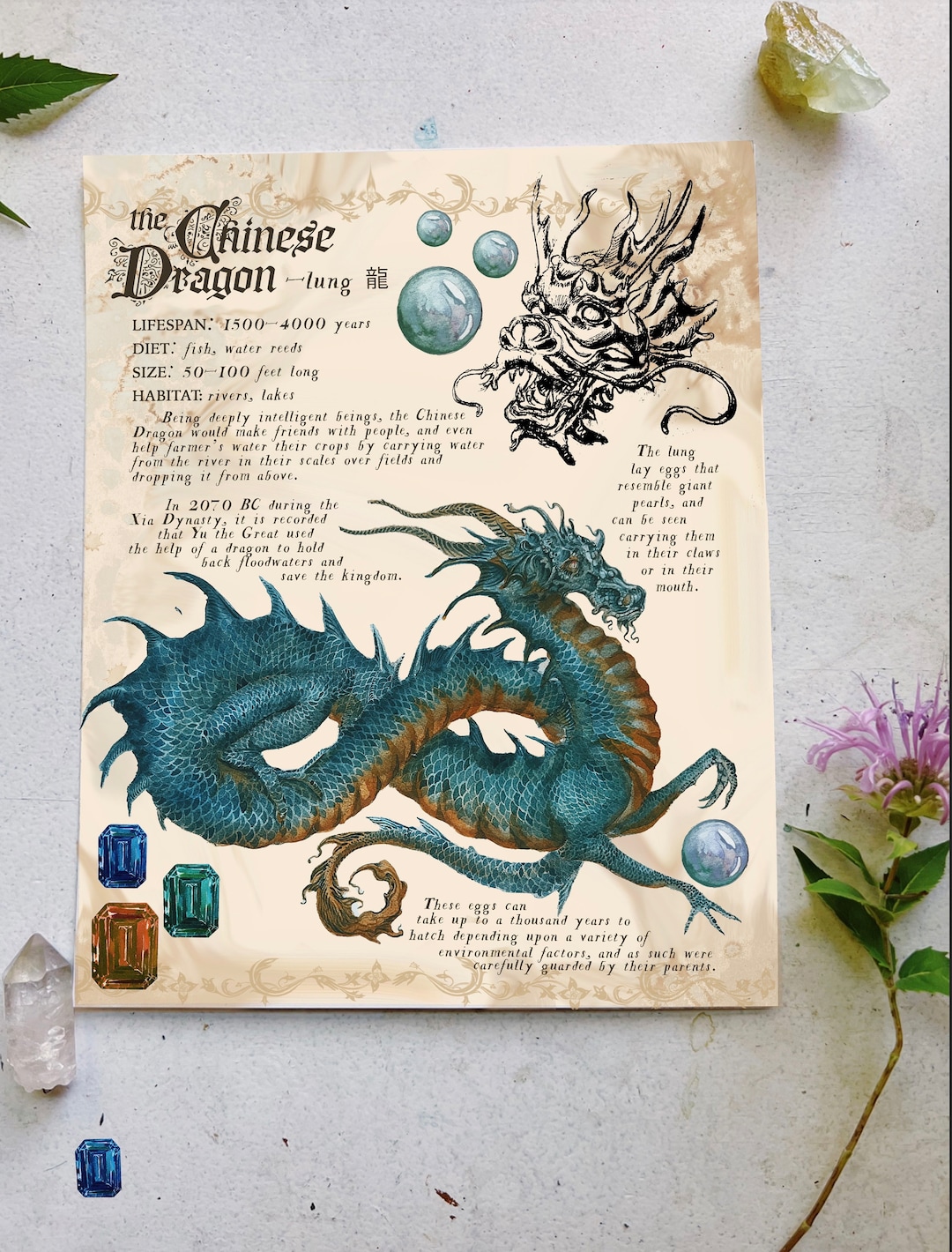 Chinese Dragon Field Note - Etsy