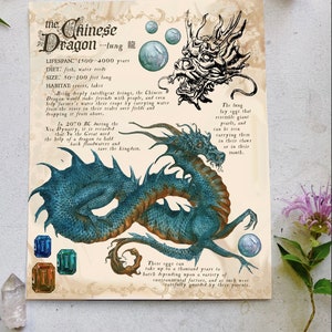 Chinese Dragon Field Note - Etsy