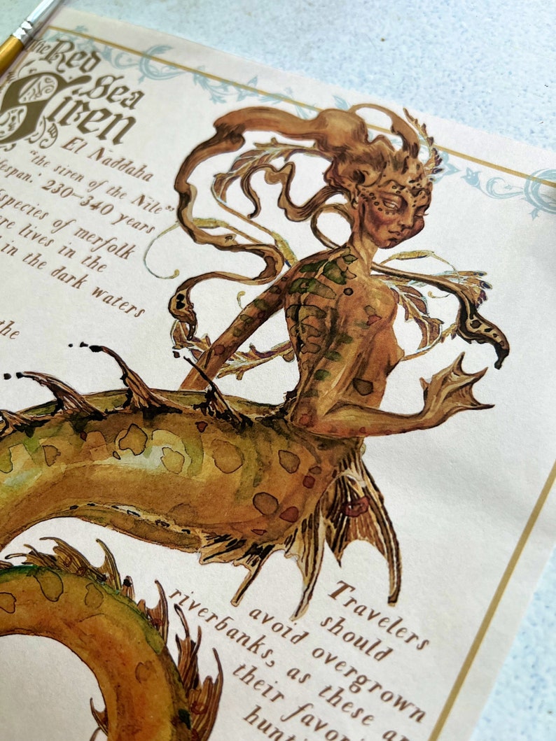 Red Sea Siren Field Note - Etsy