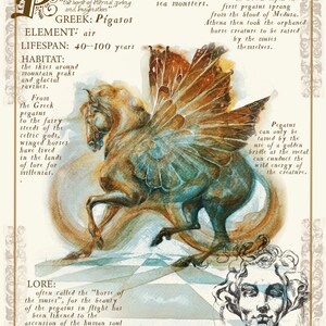 Pegasus Field-note - Etsy