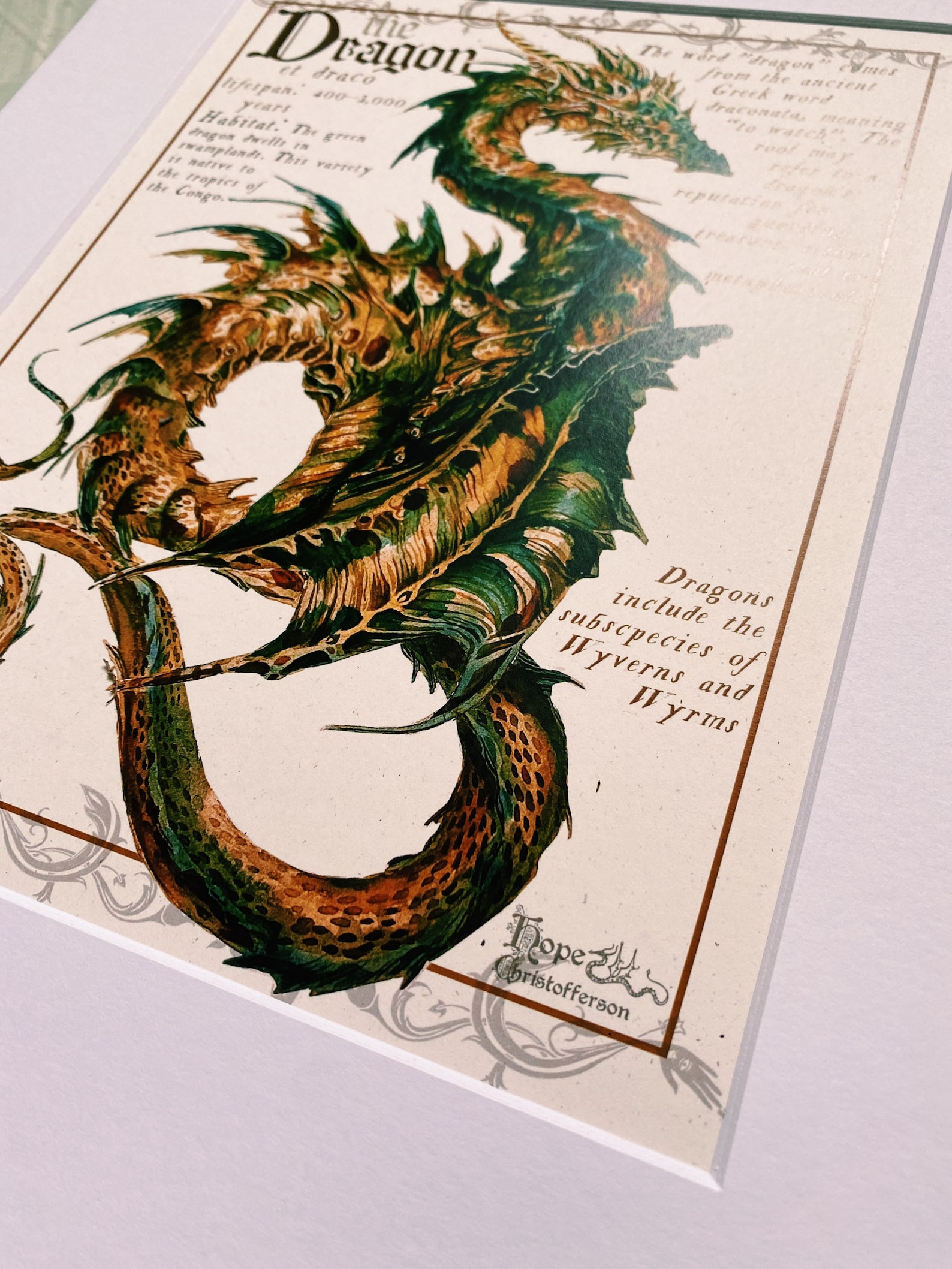 Dragon Field Note — Fantasy Mythology Art Print, Watercolor on Birch ...