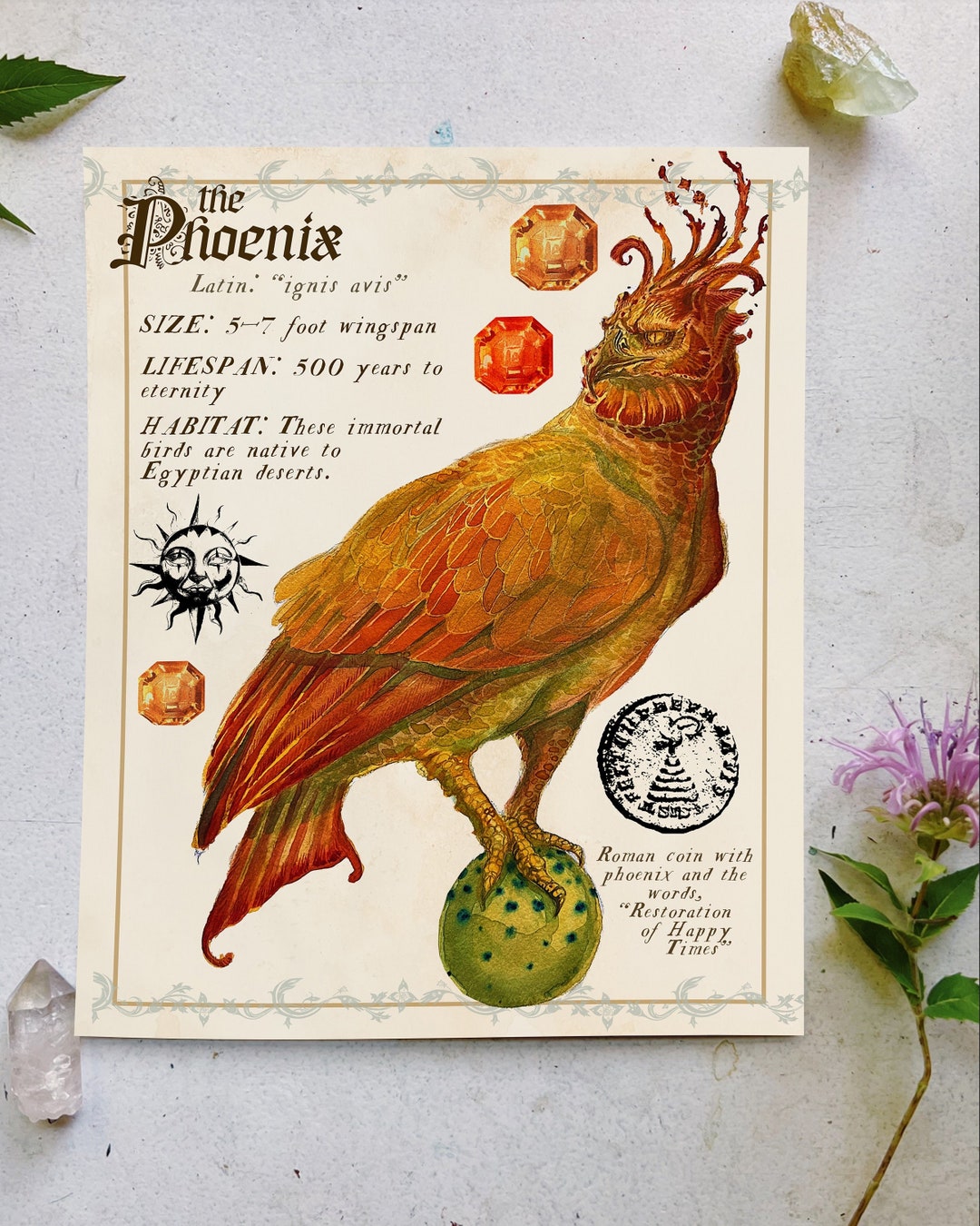 Phoenix Field Note - Etsy