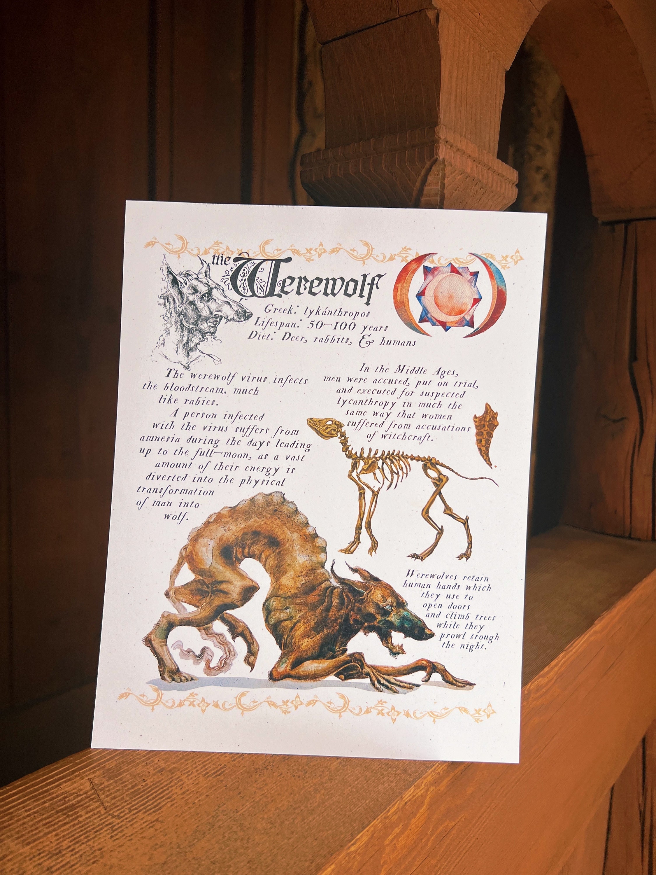 Werewolf Anatomy Print: Birch Card Stock, Monster Lore (8x10”) - Etsy